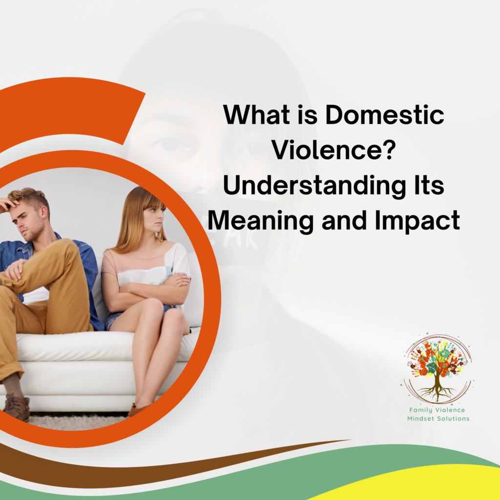 What is Domestic Violence? - Family Violence Mindset Solutions